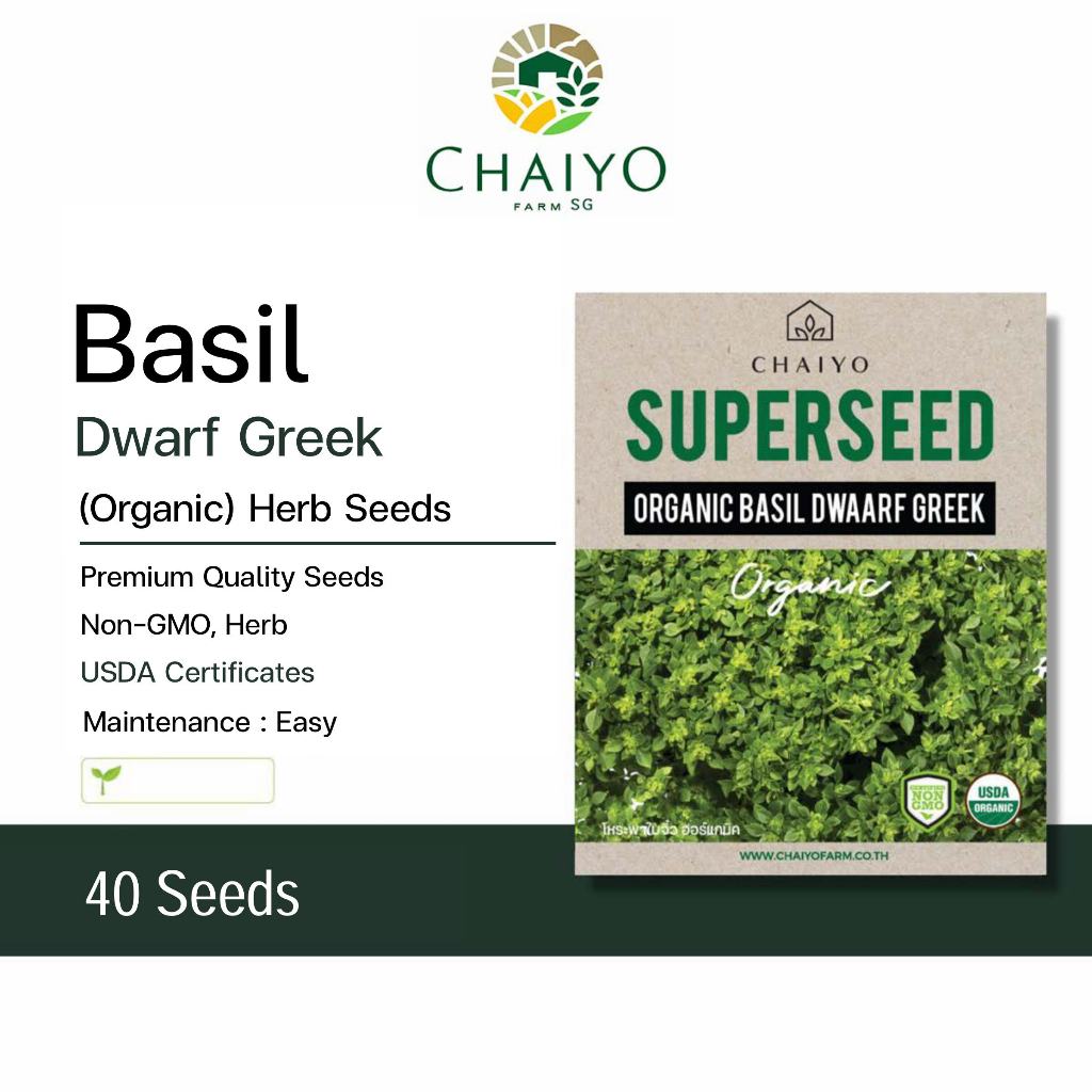 Basil Dwarf Greek (Organic) Herb seed, 40 seeds – Chaiyo Farm ...