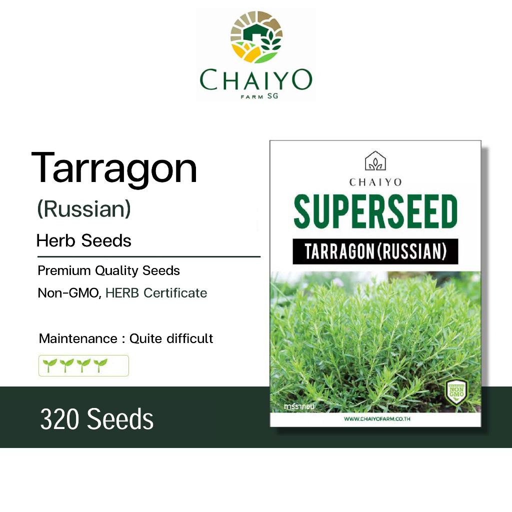 Tarragon (Russian) Herb Seeds, 320 Seeds – Chaiyo Farm (Singapore) Pte ...