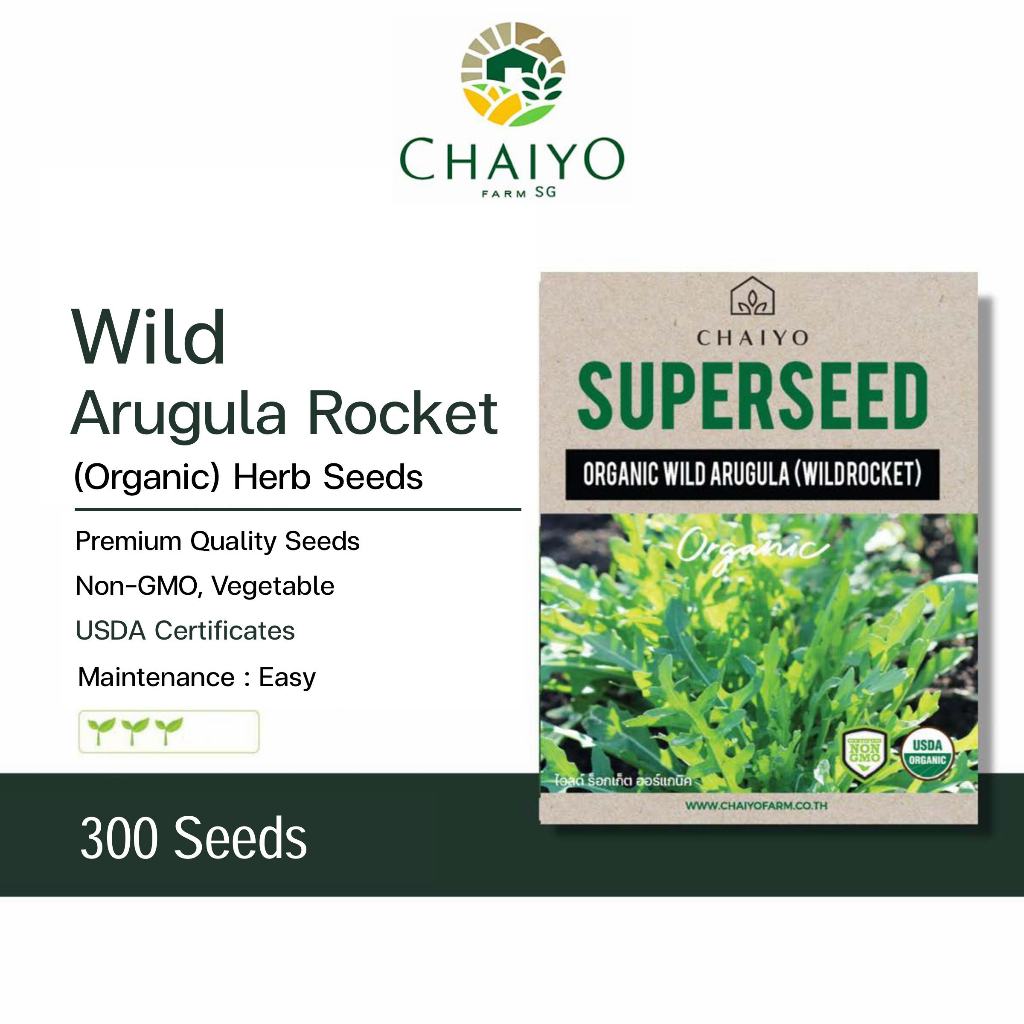 Wild Arugula Rocket (Organic) Herb Seeds, 300 Seeds – Chaiyo Farm ...